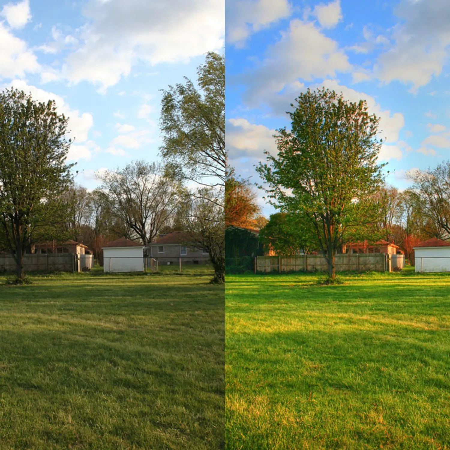 High Dynamic Range (HDR): Expanding Contrast for Vivid, Realistic ...